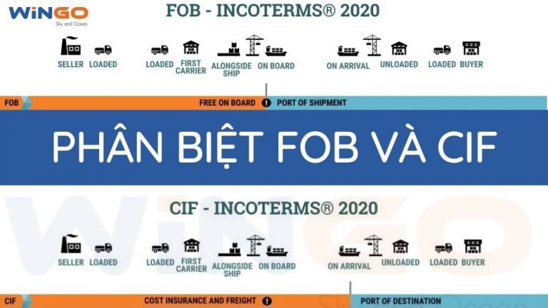 FOB Là Gì? Tìm Hiểu Về Giá Fob Trong Xuất Nhập Khẩu
