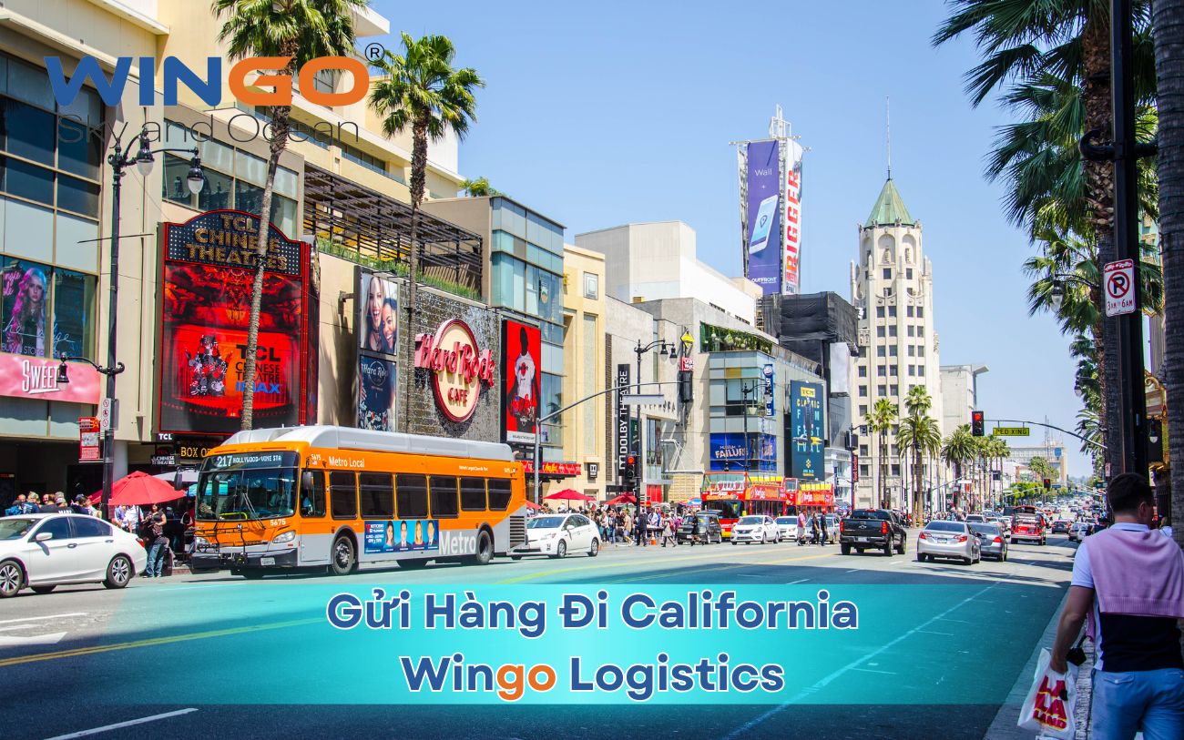 Gửi Hàng Đi California Nhanh Chóng, Tiết Kiệm Với Wingo Logistics